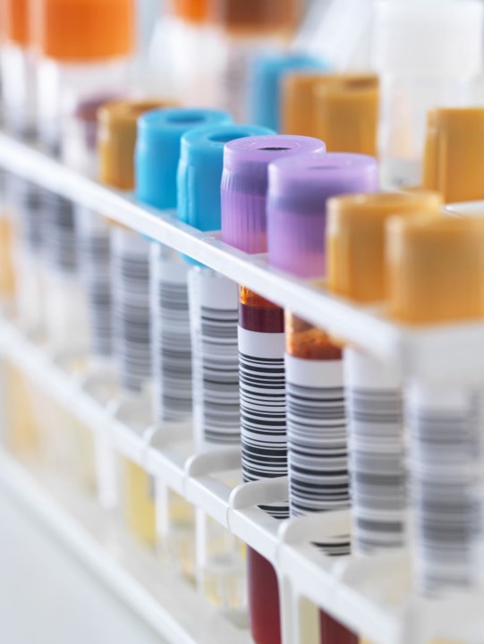 Stability Testing of Cosmetic Products - MSCR